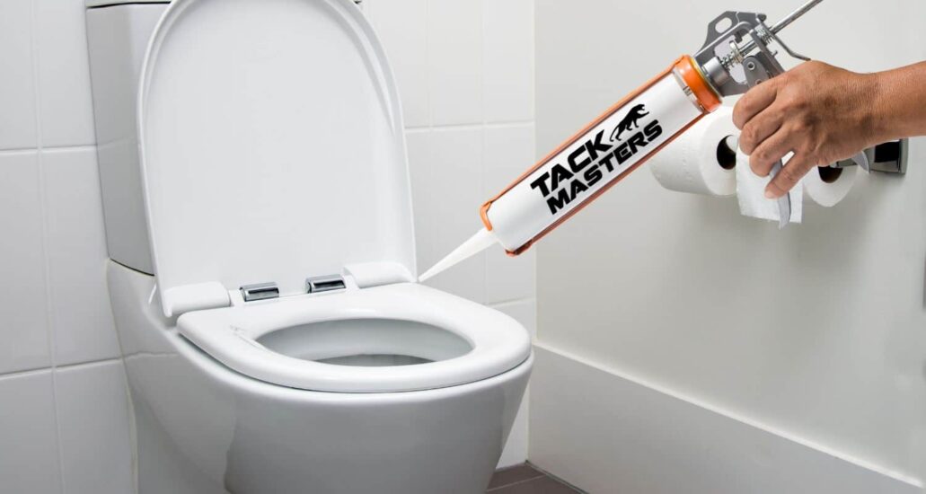 WC kitten? Ontdek direct waarom je een WC (niet) moet kitten! 🚽