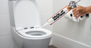 WC kitten? Ontdek direct waarom je een WC (niet) moet kitten! 🚽