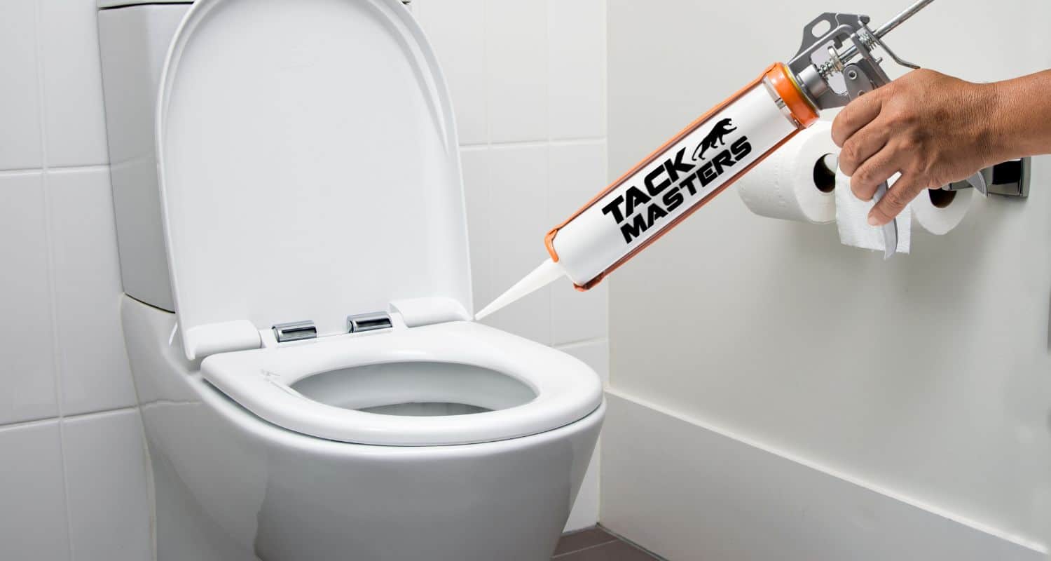 WC kitten? Ontdek direct waarom je een WC (niet) moet kitten! 🚽